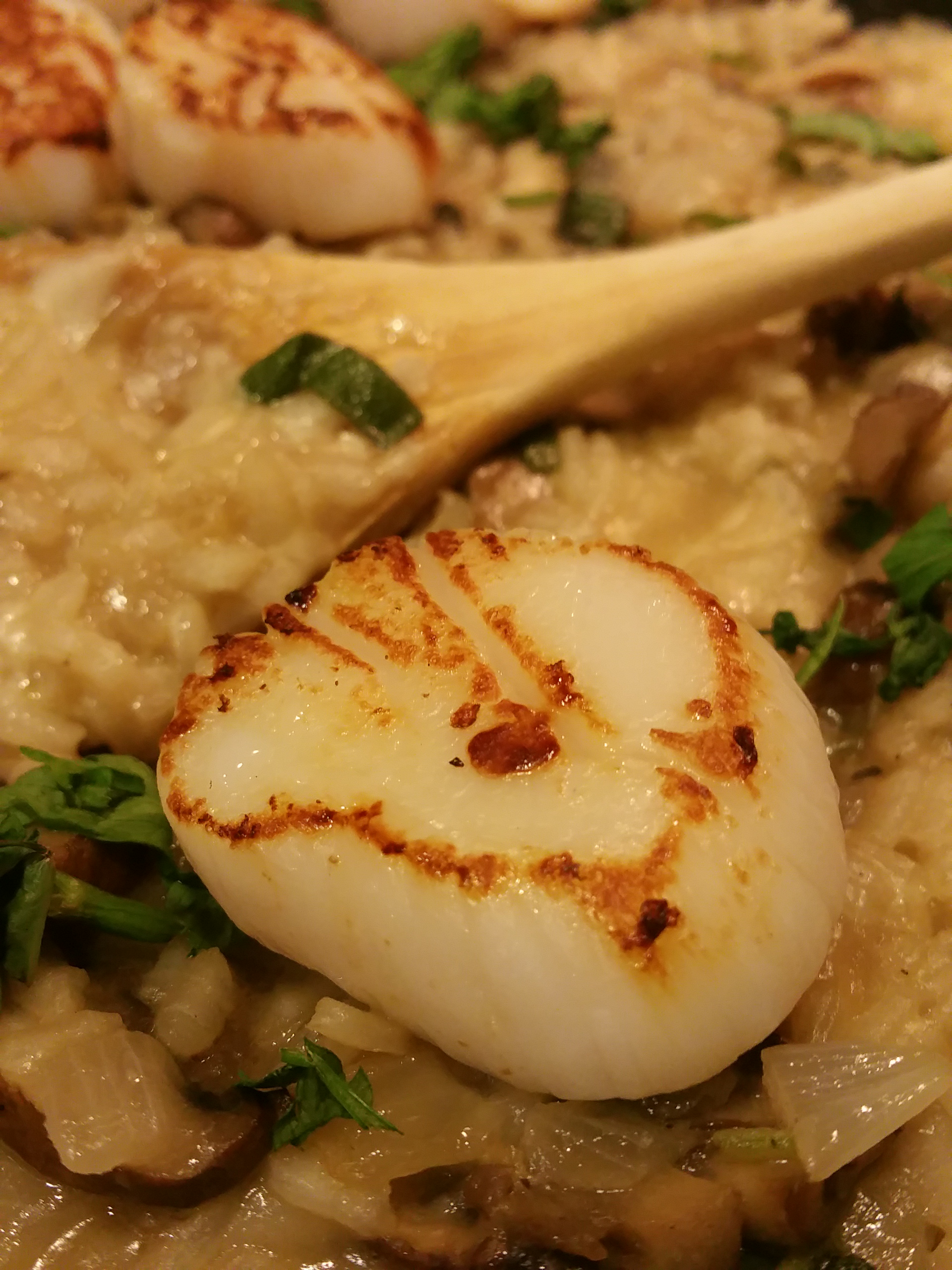 Hell’s Kitchen | Mushroom & Truffle Oil Risotto with Pan Seared ...