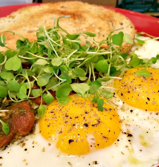 3 Quick & Healthy Weekday Breakfasts | The Front Porch Gourmet